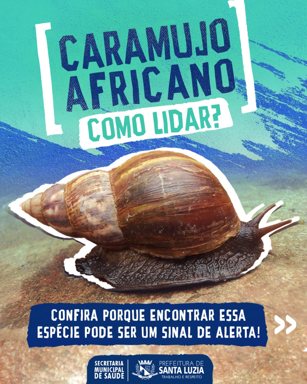 Caramujo Africano: Mitos e Verdades | Prefeitura Municipal de Santa Luzia